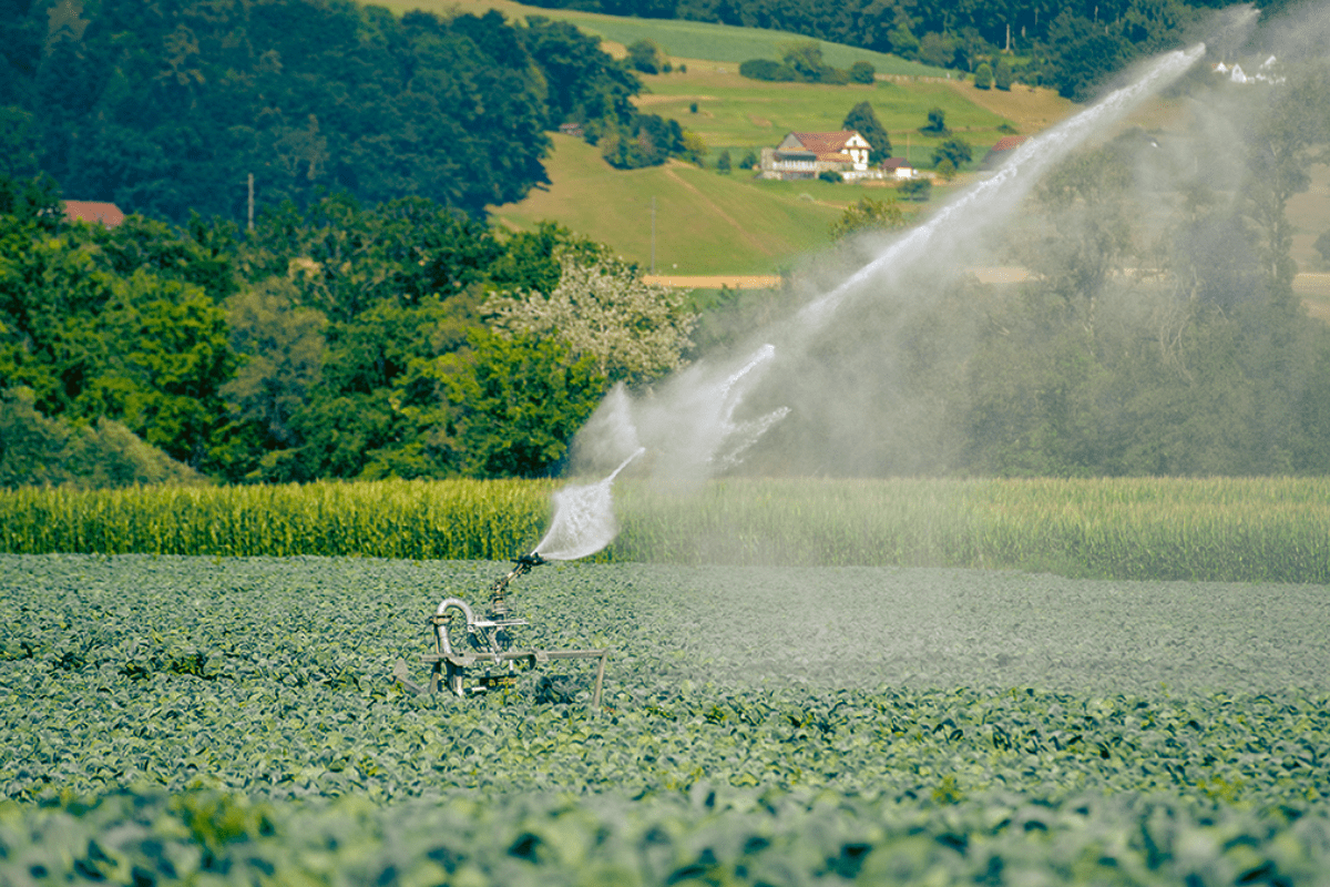 Pilot Project in Aargau Paves the Way for Sustainable Farming Amidst ...