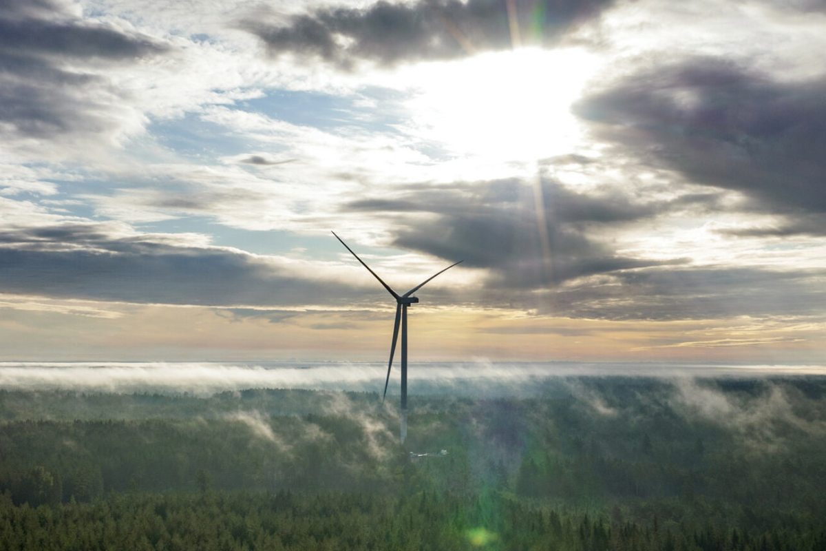 BKW Expands Renewable Energy Portfolio with New Swedish Wind Farms ...