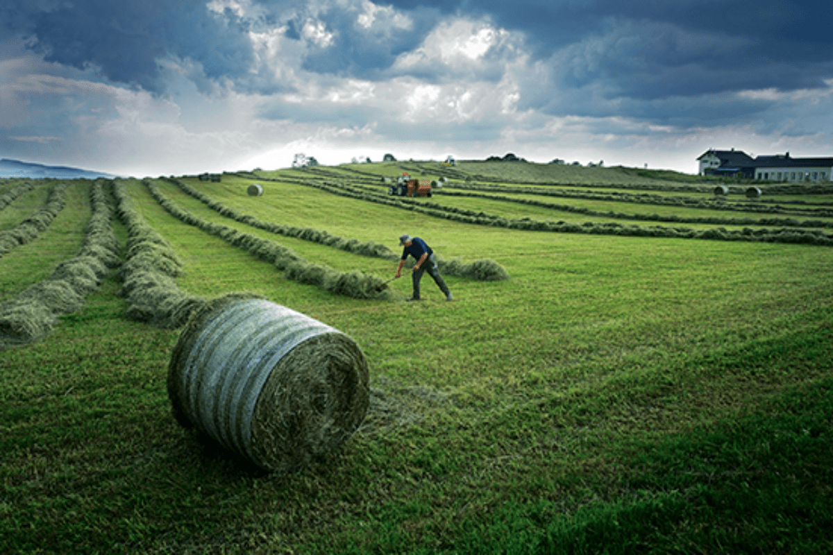 New Swiss Association Aims to Reduce Agricultural Carbon Footprint ...