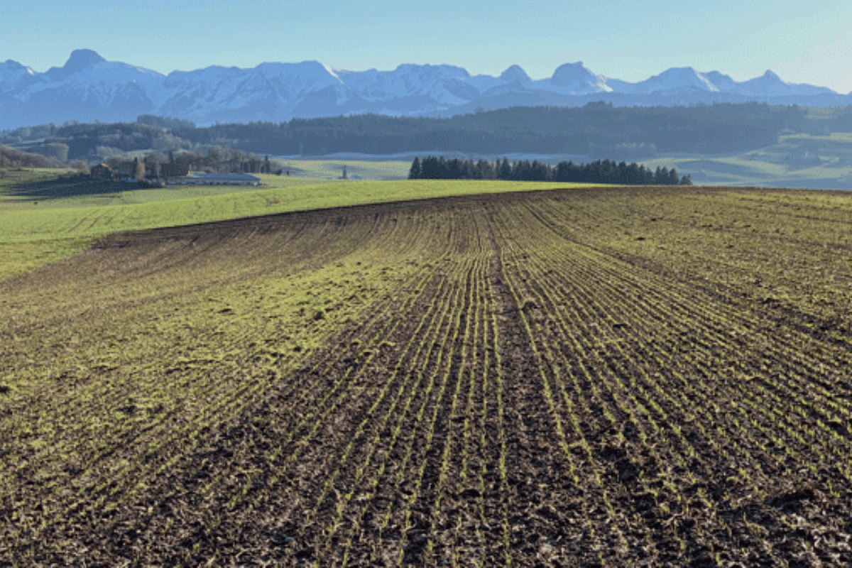 New Measures for Sustainable Soil Use in Switzerland - ESG HUB